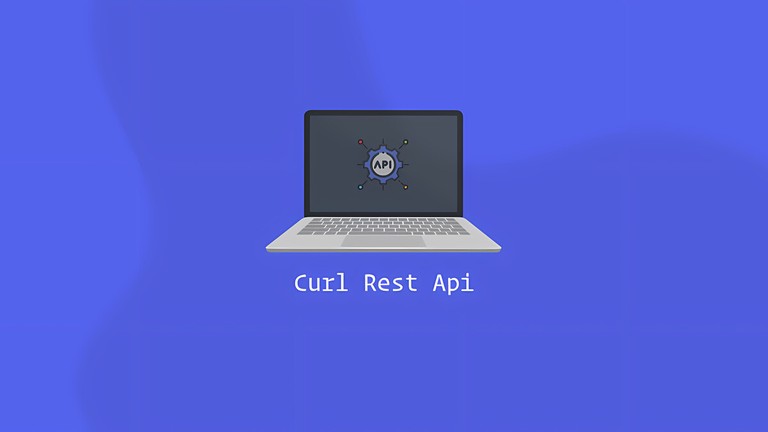 Using curl to Make REST API Requests | Linuxize