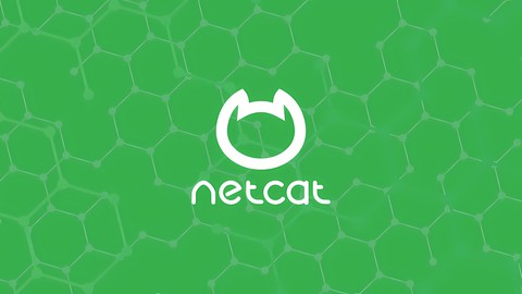 Netcat (nc) Command in Linux with Examples | Linuxize