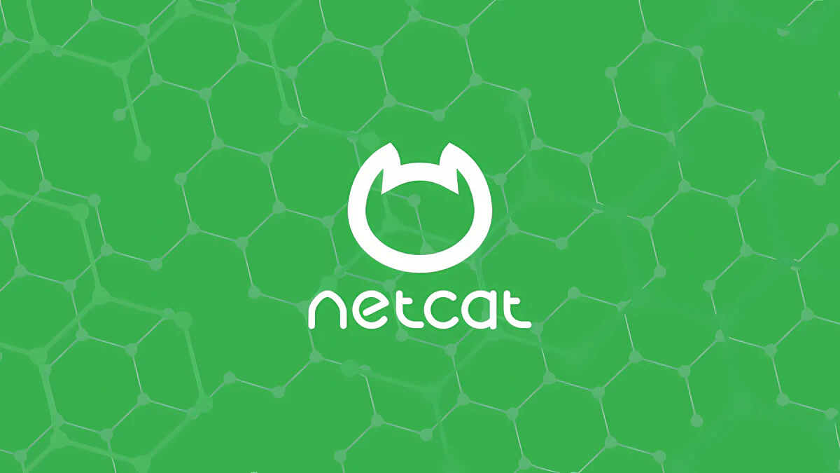 How to Use Netcat (nc) Command with Examples | Linuxize