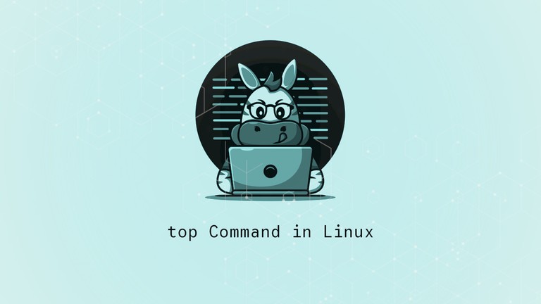 top Command in Linux: Monitor Processes in Real Time | Linuxize